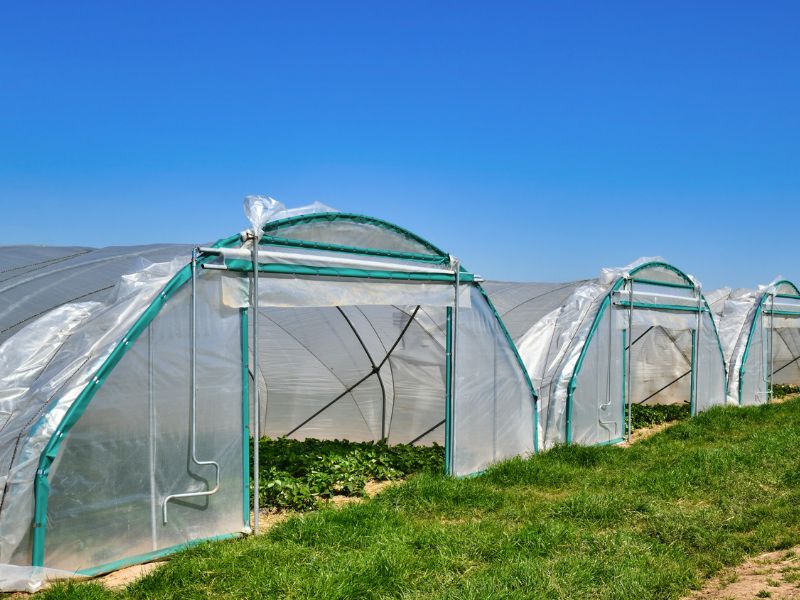 Cultivez Toute L'année Avec Ces Serres De Jardin Polyvalentes » Pour Le ...
