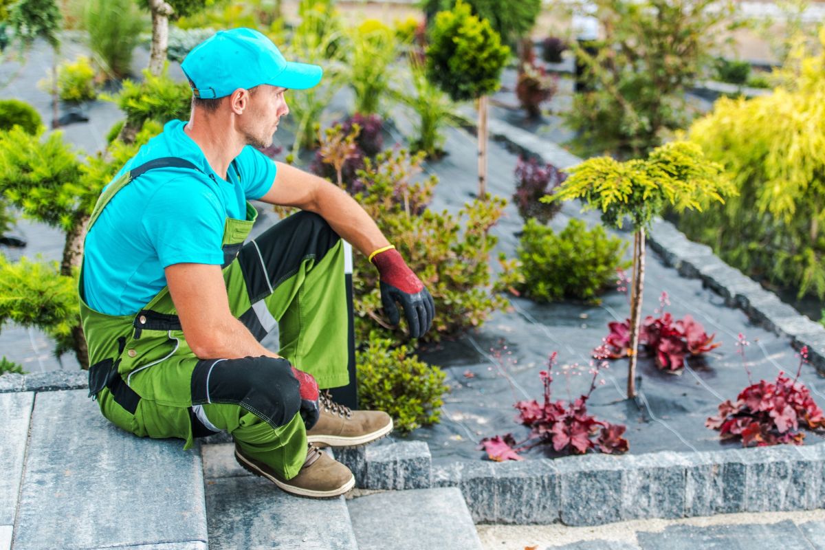 Comment Un Paysagiste Peut-il Transformer Un Jardin En Friche En Espace ...